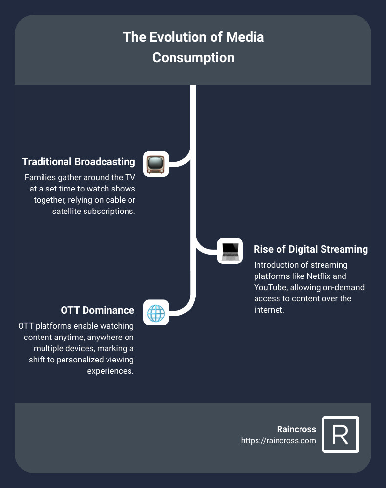 Everything You Need to Know About OTT Platforms | Raincross