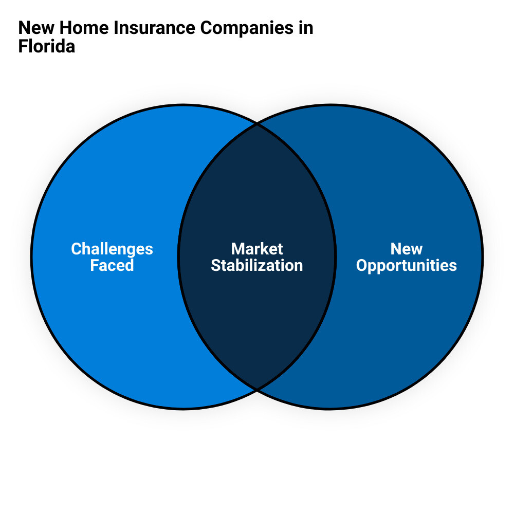 New Home Insurance Companies in Florida: What to Expect