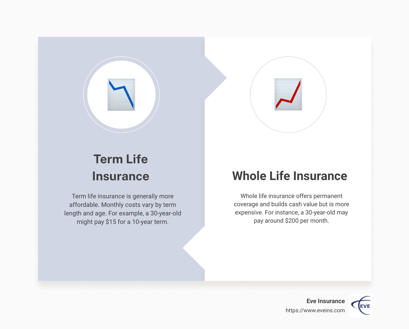 Life Insurance Monthly Costs: What to Expect - Eve Insurance