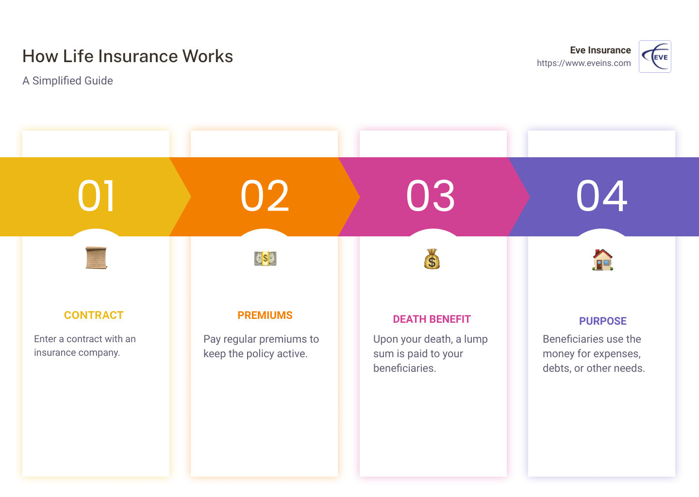 Life Insurance 101: How It Works and Why You Need It - Eve Insurance
