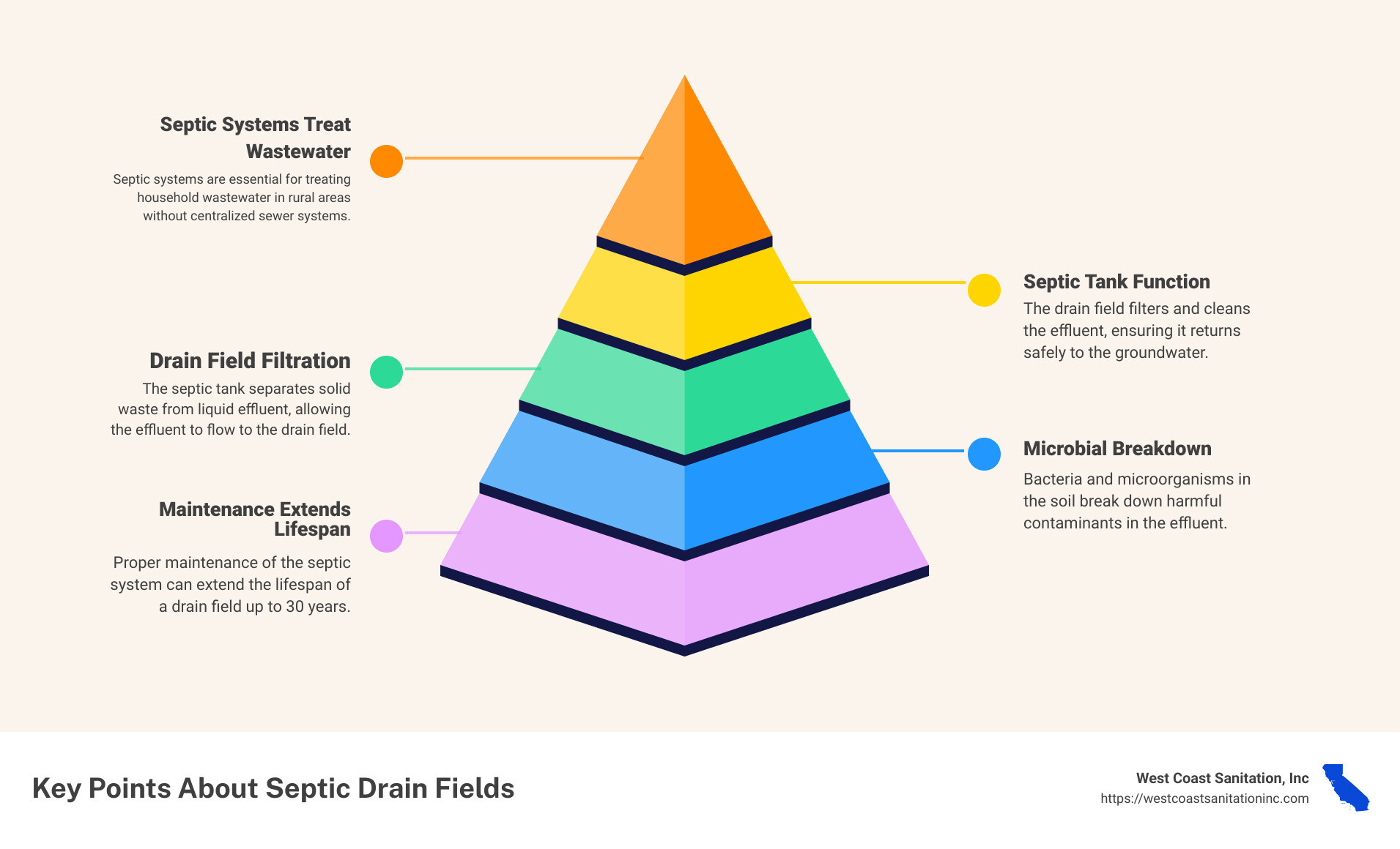 Septic Drain Fields Explained: How They Work and Why They Matter