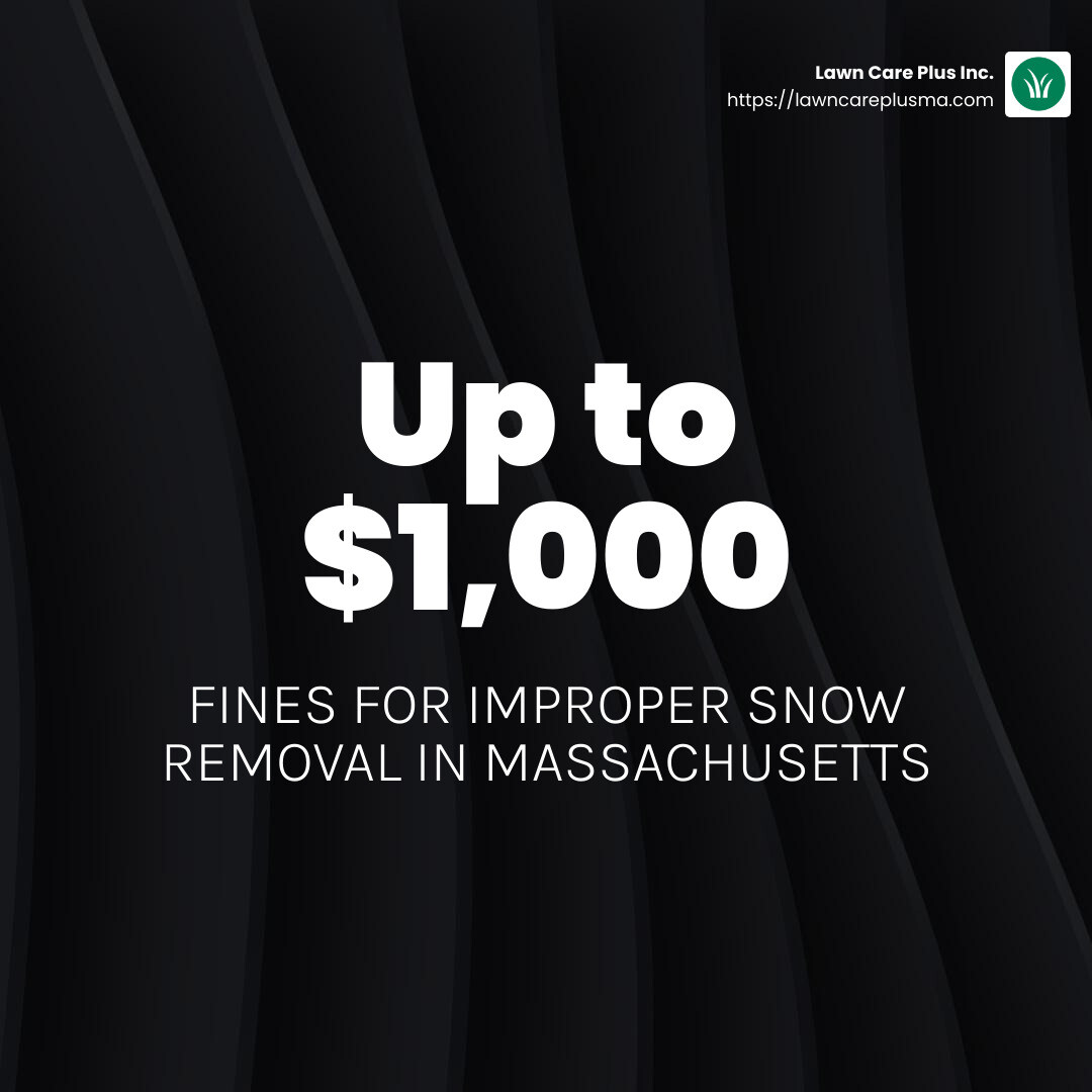 Massachusetts Snow Removal Law: Best 5 Compliance Tips 2024