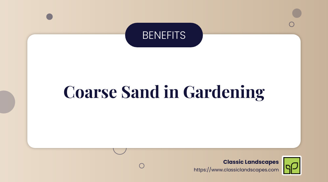 The Ultimate Guide to Buying Coarse Sand for Your Garden