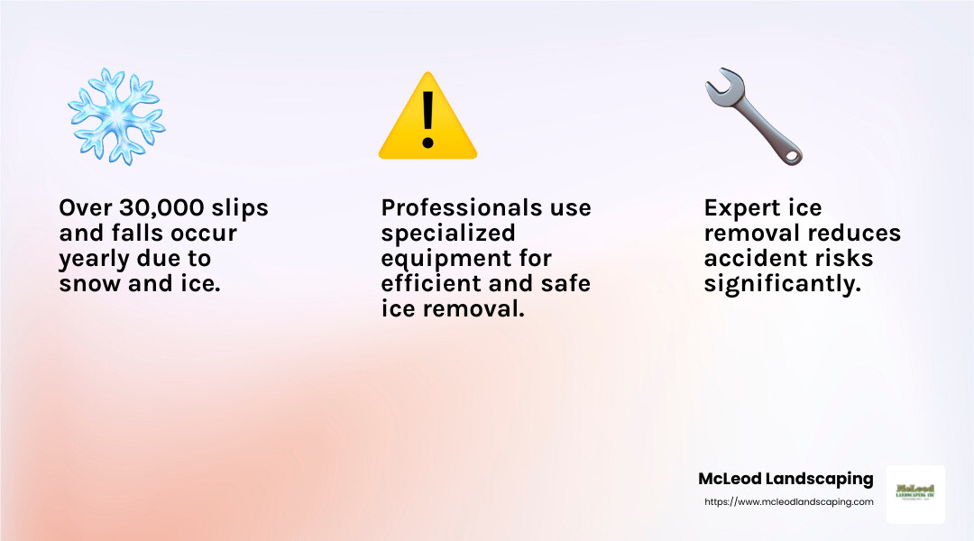 Ice Removal Company: Top 5 Essential Tips 2024