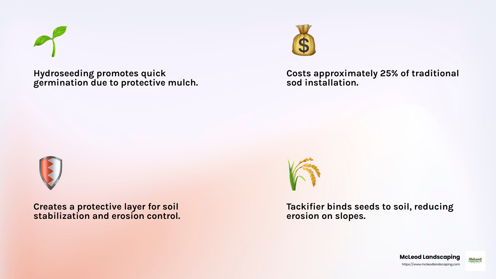 Commercial Hydroseeding: Best Benefits & Fast Process 2024