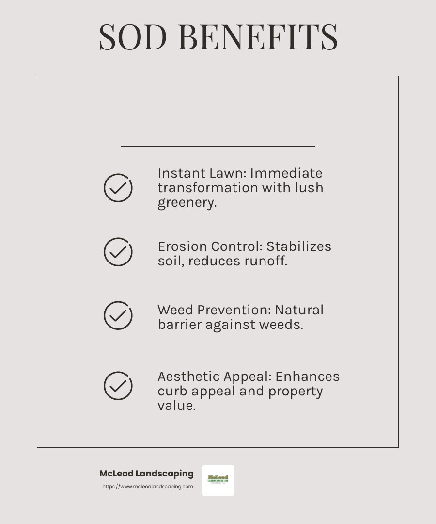 Residential Sod Installation: Best Benefits in 2024