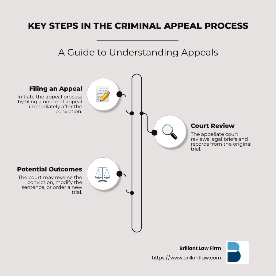 Criminal Appeals Demystified: Your Guide to the Process - Brillant Law Firm