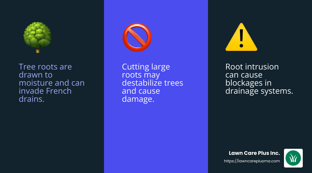 French Drain Through Tree Roots: Top 3 Proven Solutions 2024