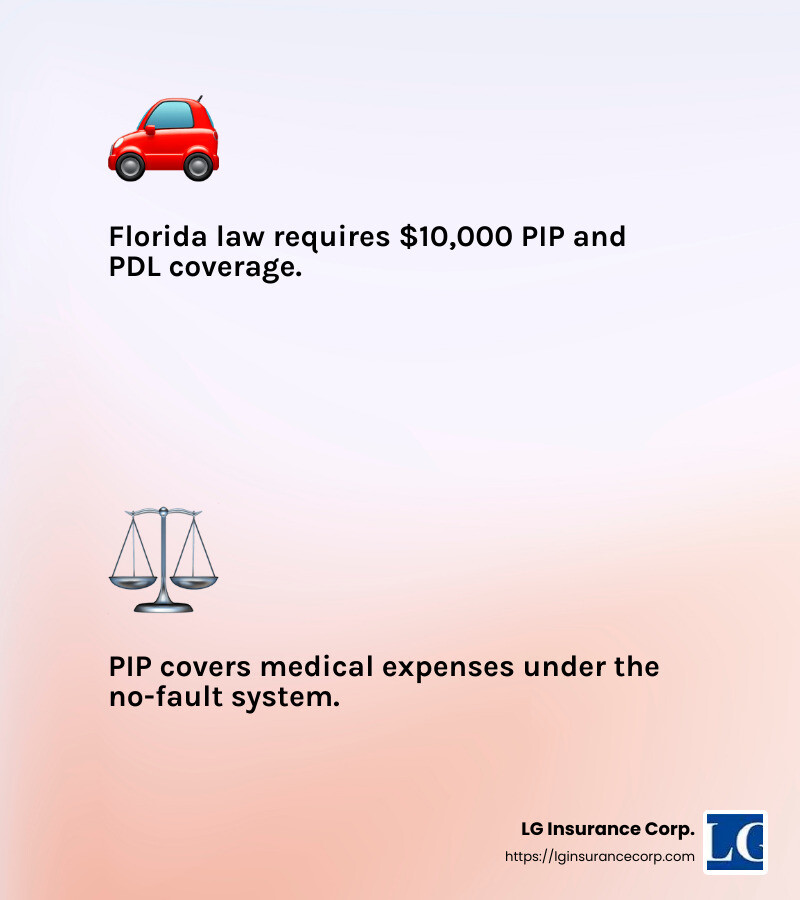 Car Insurance Miami Florida: Top 5 Unbeatable Deals 2024