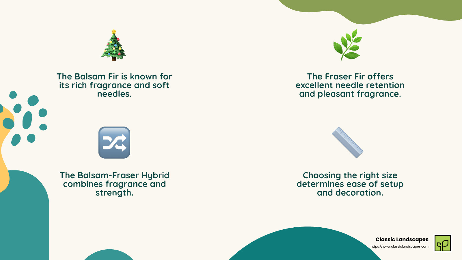 The Best Fresh Cut Christmas Trees for Beginners