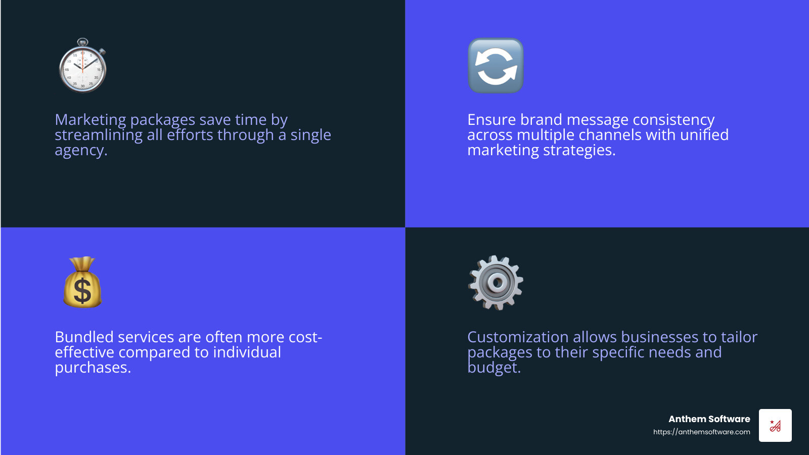 The Best Marketing Packages for Every Budget - Anthem Software for Business