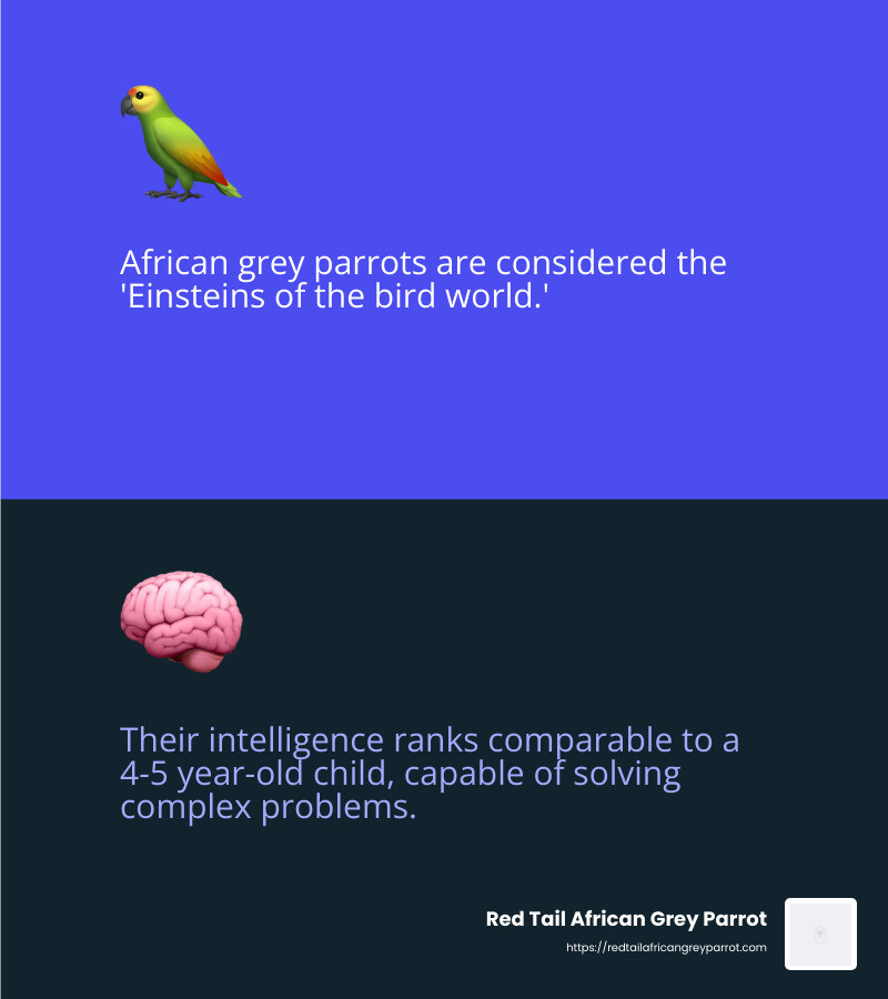 African Grey Parrot Intelligence: Top 5 Amazing Insights