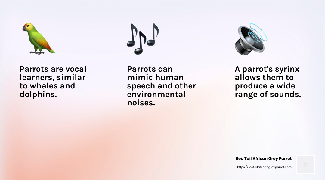 Parrot Talking Abilities: Top 3 Amazing Insights 2024