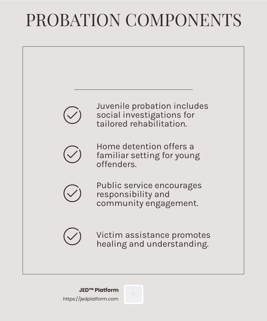 Juvenile Probation Programs Explained: What You Need to Know - JED™ PLatform
