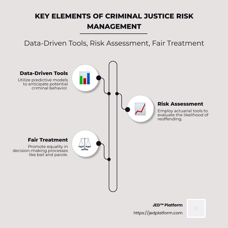 Balancing the Scales: Understanding Criminal Justice Risk Management ...