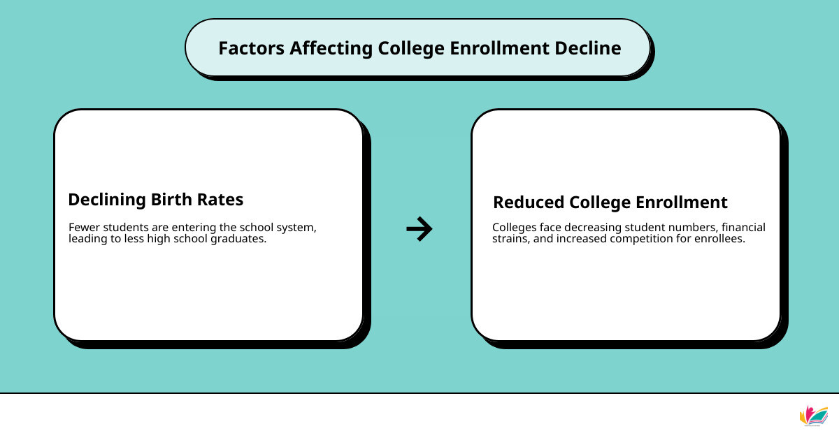 College Enrollment Decline: Top 3 Alarming Trends 2025