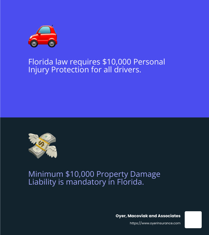 Florida Car Insurance Comparison: Top 5 Best Picks 2025