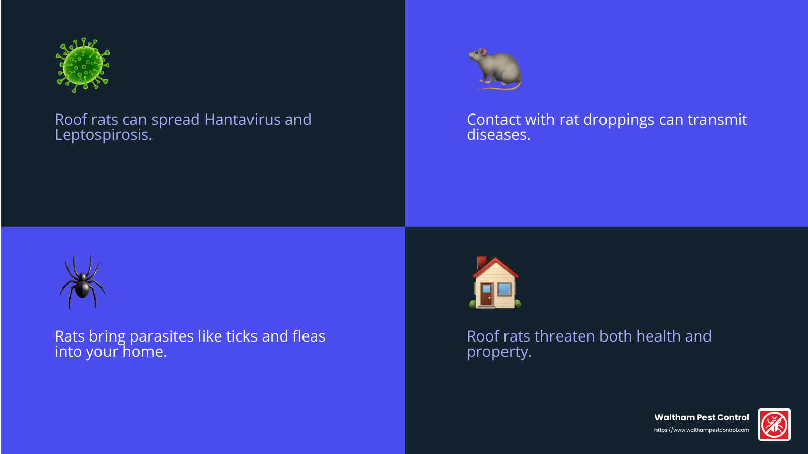 Rat Nest in Attic: 10 Shocking Dangers to Avoid