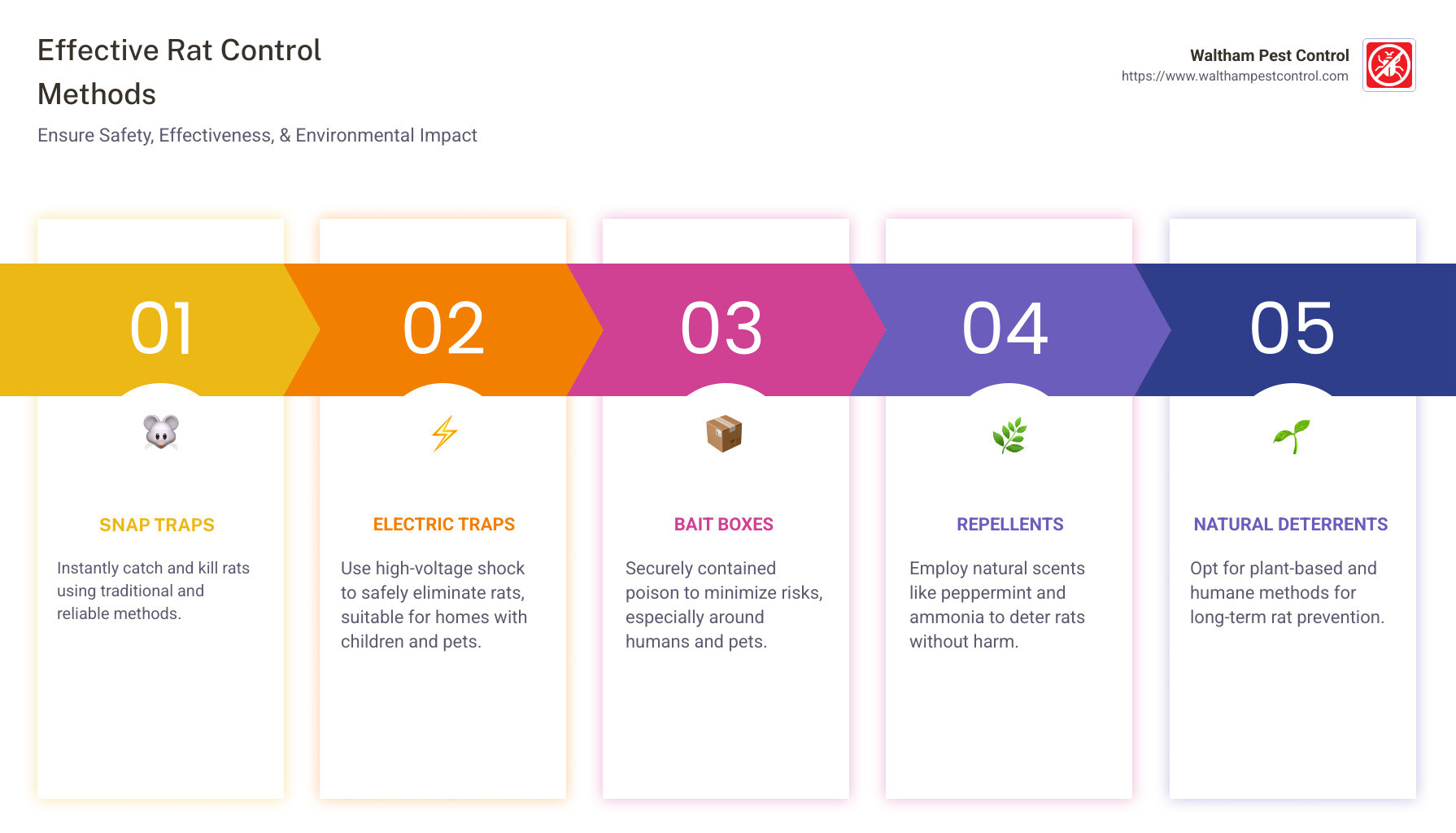 Best Way to Kill Rats: Top Methods in 2025!