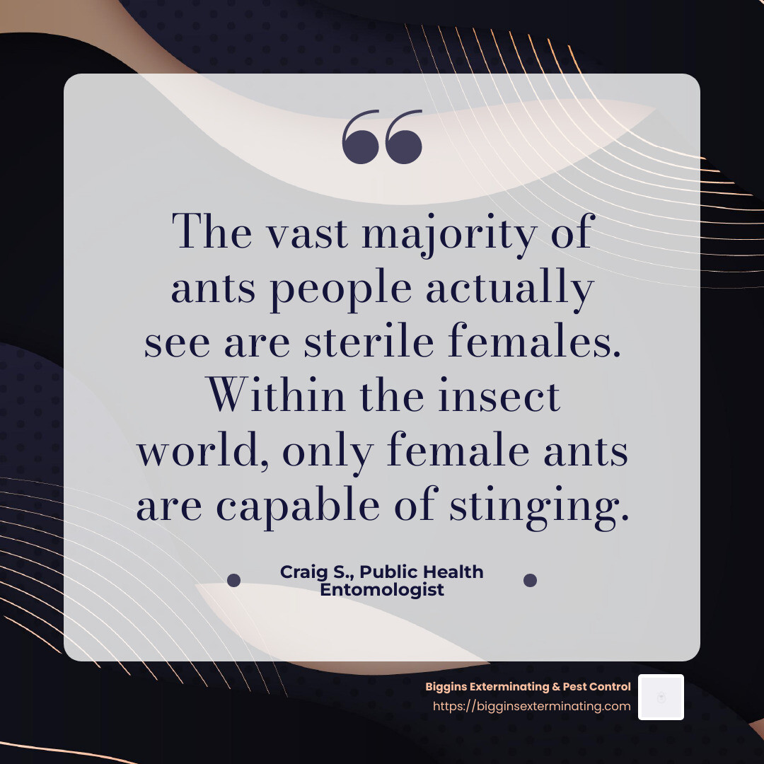 Ant Control Exterminators: Top 5 Expert Picks 2025