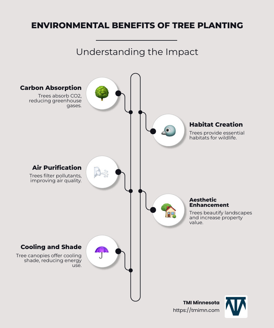 Tree Planting Services: Top 5 Expert Tips for Success