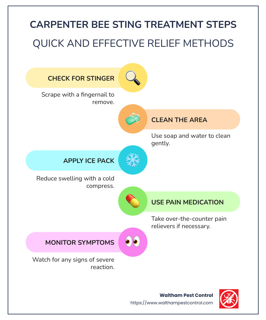 Carpenter Bees Sting Treatment: 5 Best Tips for Relief