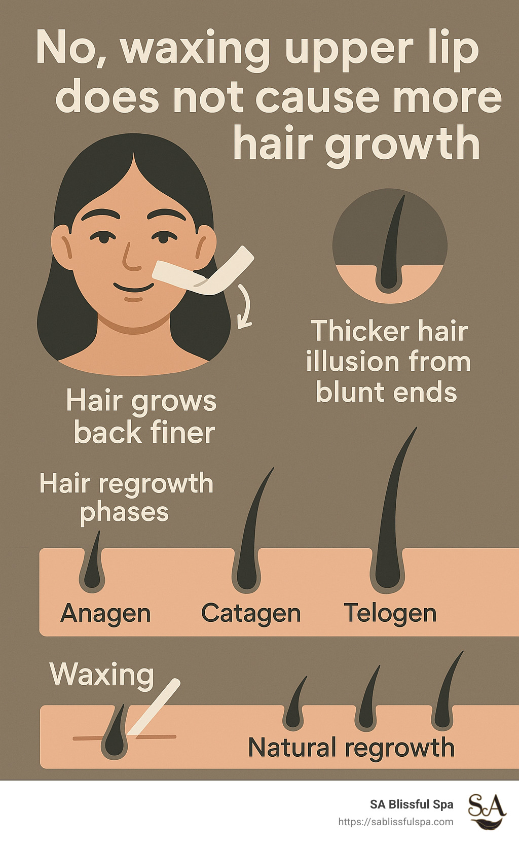 Does Waxing Upper Lip Cause More Hair Growth? 3 Myths Debunked