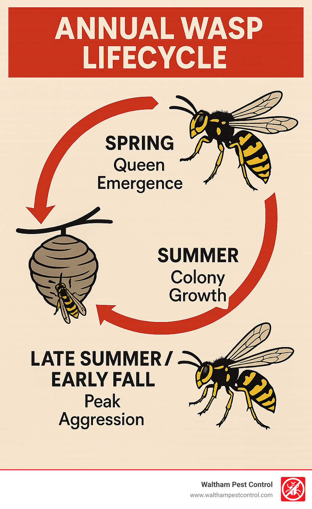 are black and yellow wasps dangerous? Best 7 Crucial Facts
