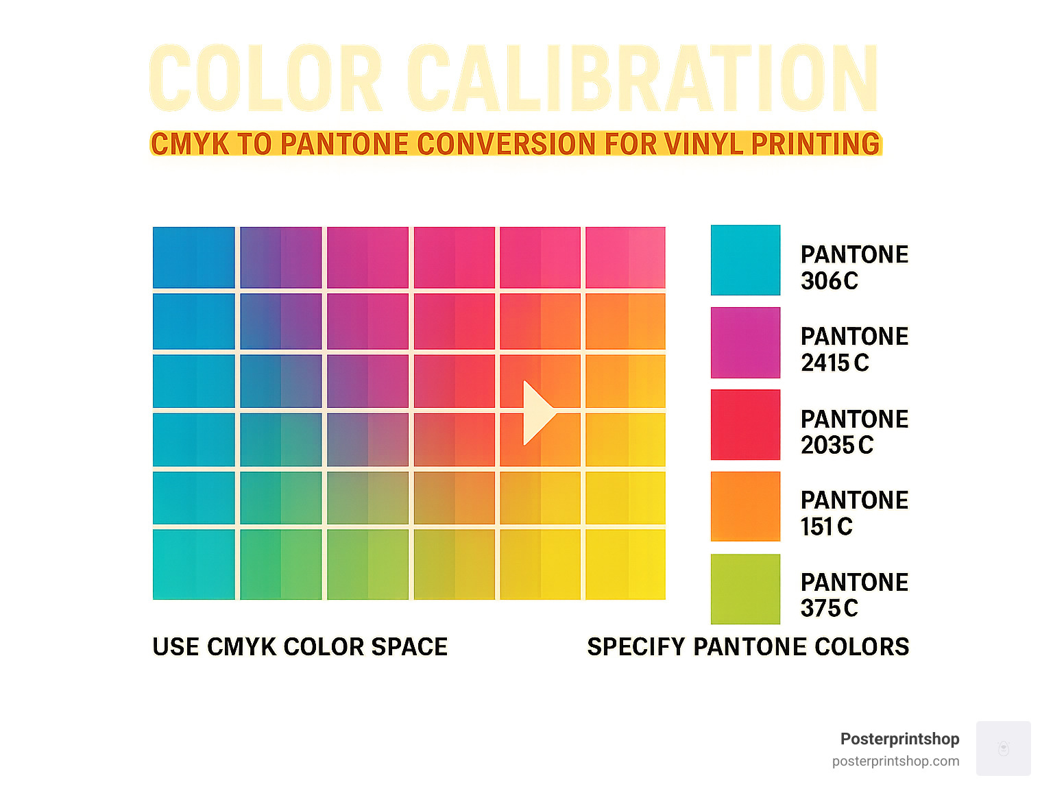 Vinyl Dreams Come True – Top Giant Vinyl Picture Printing Providers ...