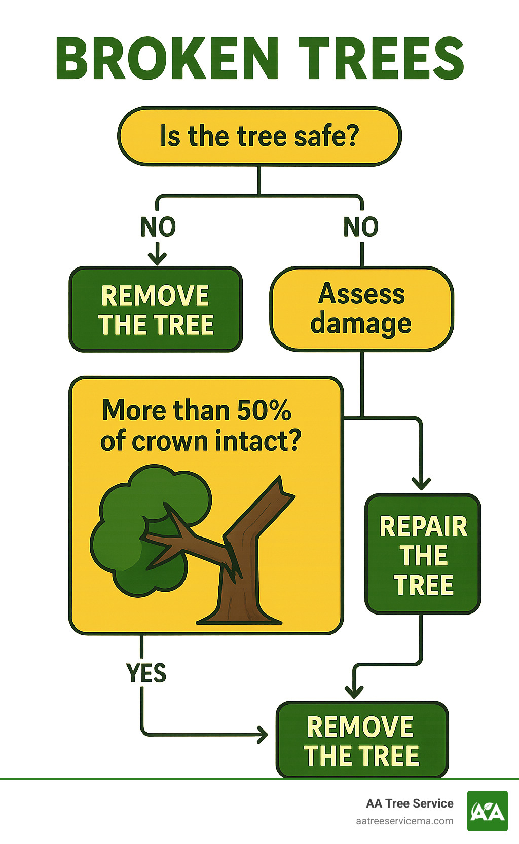 Broken Trees: 7 Essential Tips to Safely Save or Remove