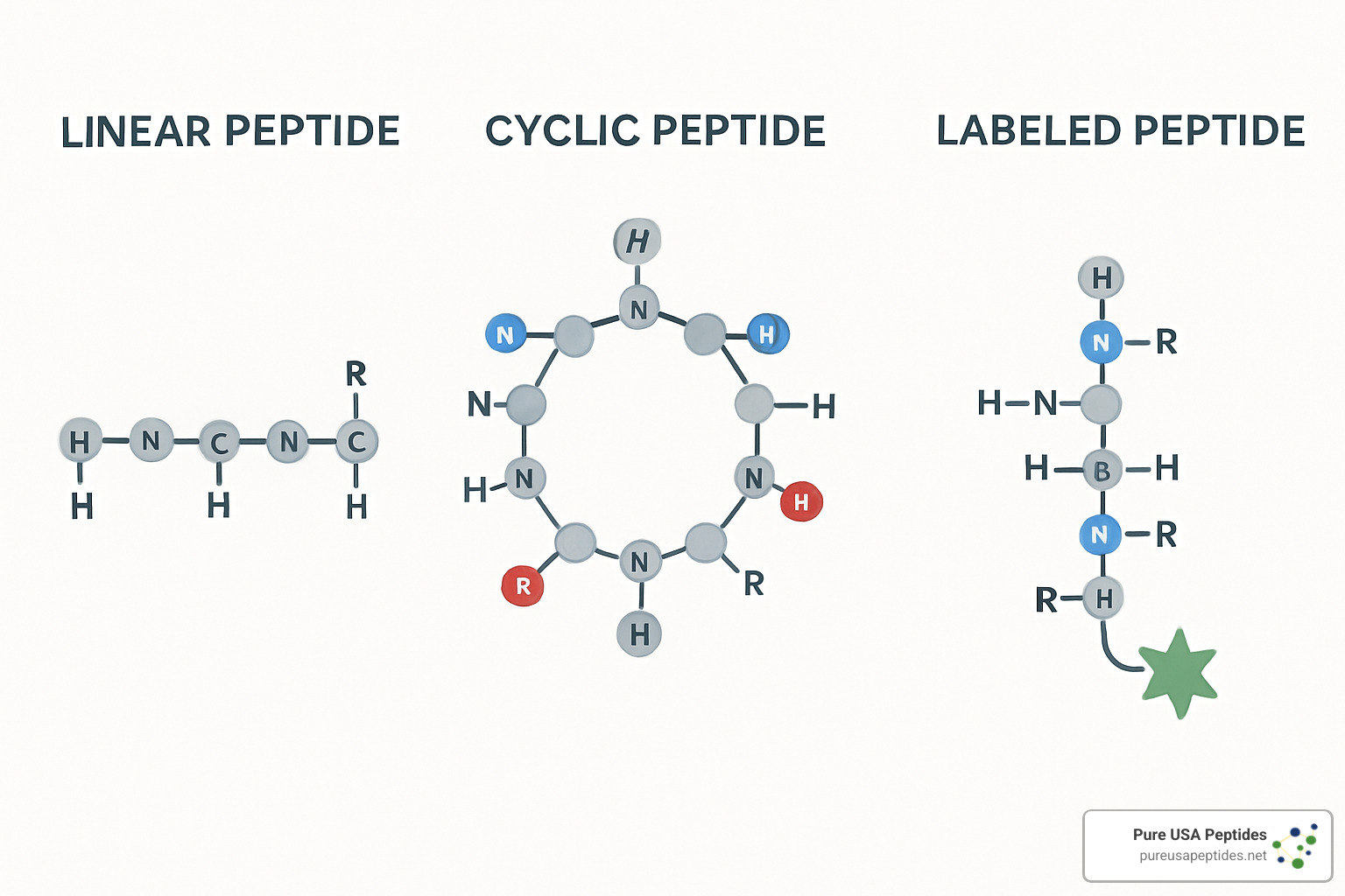 Laboratory Peptide Supplier: 10 Powerful Tips for Reliable Choice