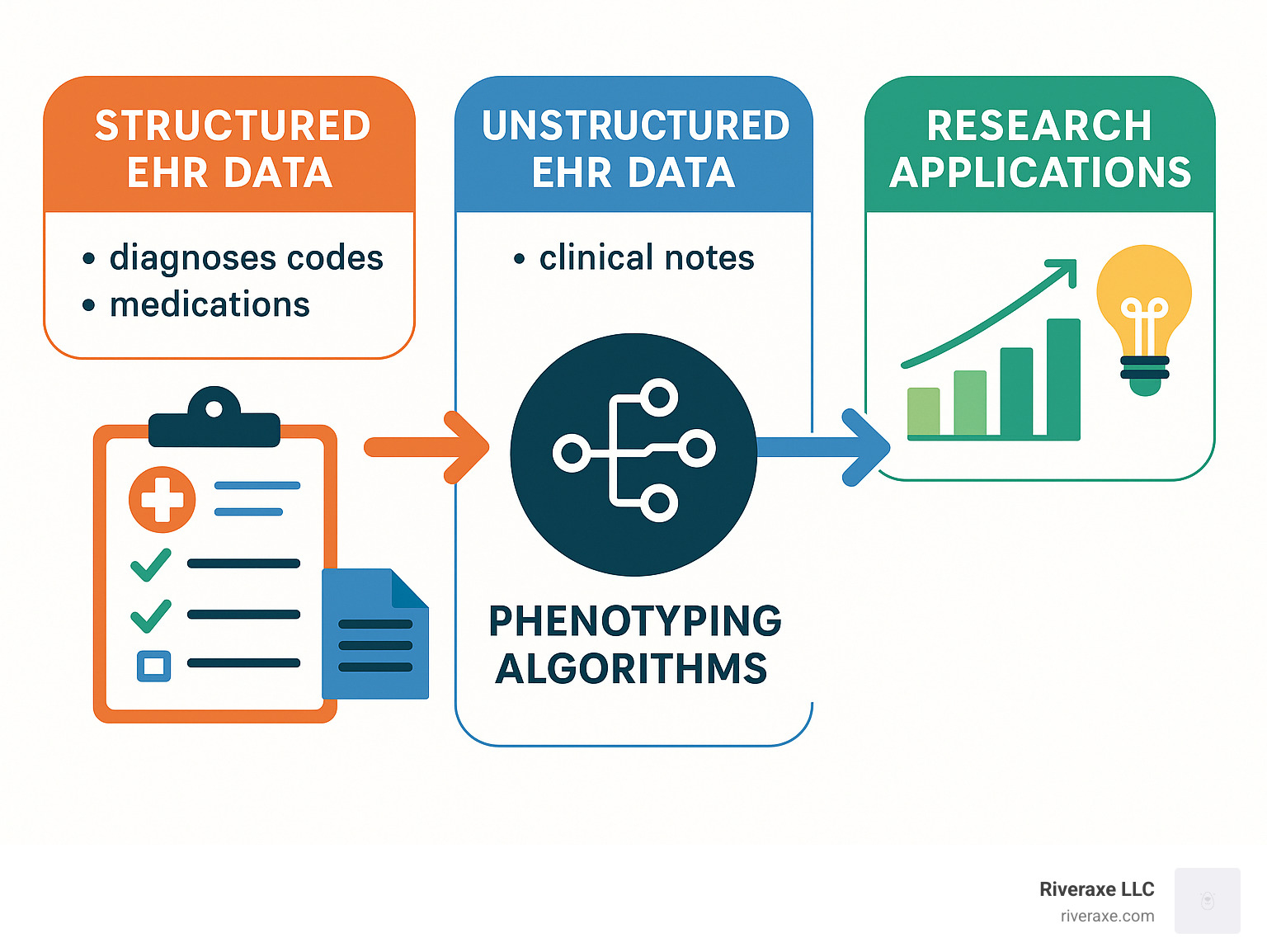 Chapter 2 EHR Review: Your Ultimate Study Companion - RiverAxe