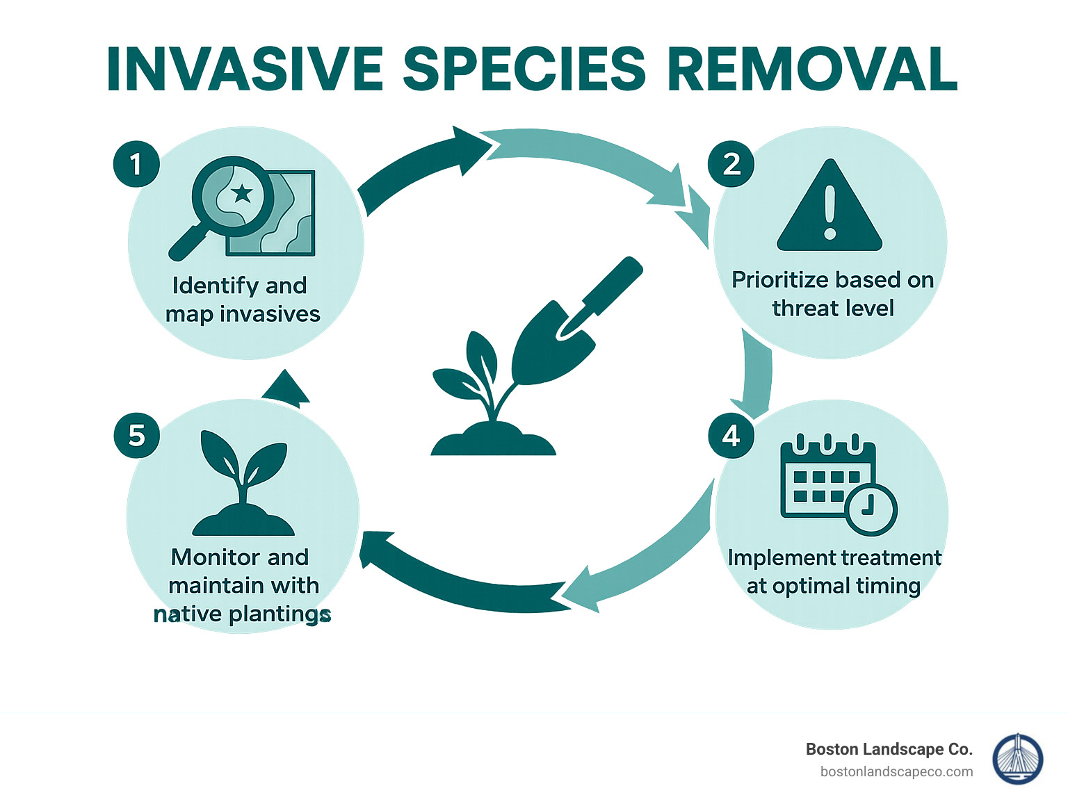 Invasive Species Removal: Top 5 Proven Methods for 2025