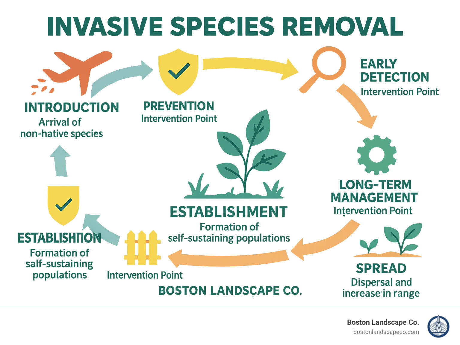 Invasive Species Removal: Top 5 Proven Methods for 2025