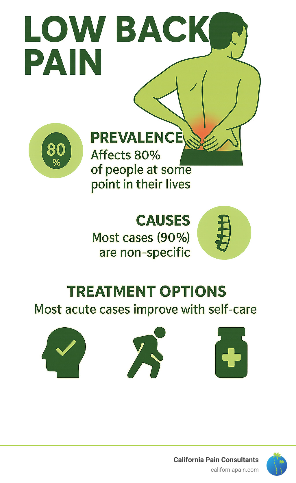 Low Back Pain: 7 Powerful Facts for Better Relief 2025