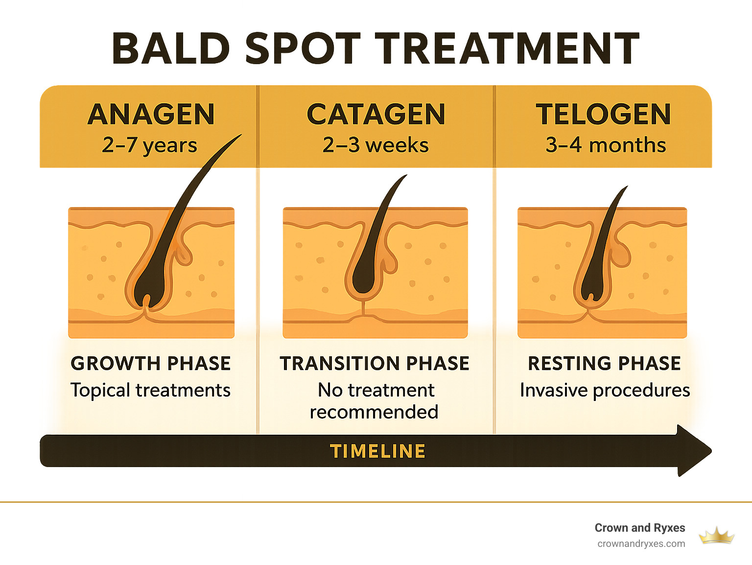 Bald Spot Treatment: 10 Best Powerful Solutions for 2025
