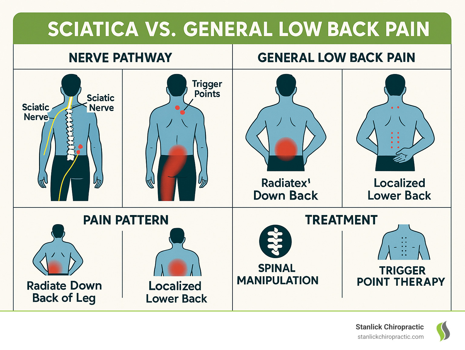 Chiropractor for Sciatica Relief: 5 Powerful Ways for Fast Relief 2025