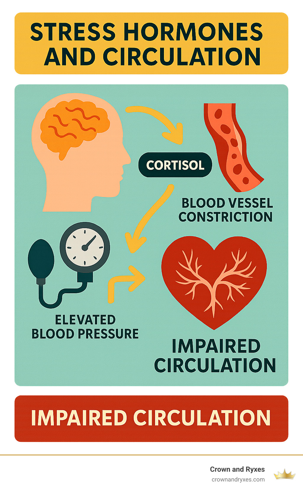 Increase Blood Flow Naturally: 9 Powerful Proven Ways 2025