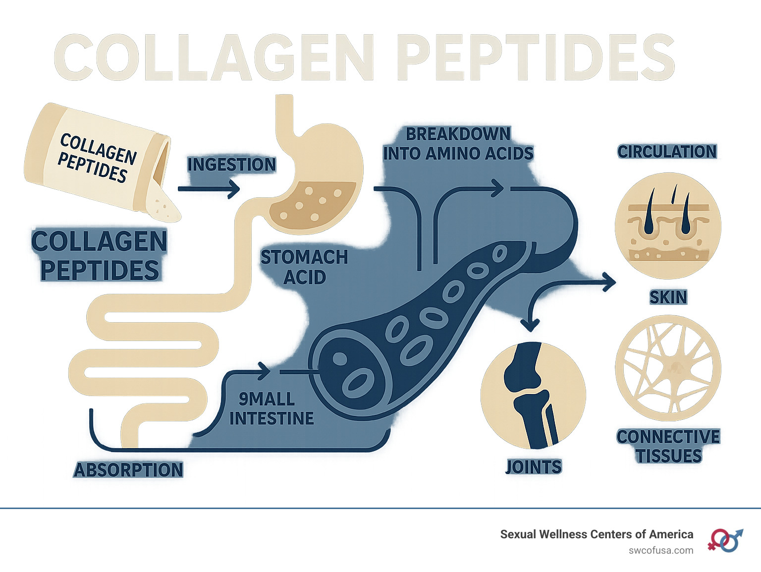 Collagen Peptides Supplements: 7 Powerful Proven Benefits 2025