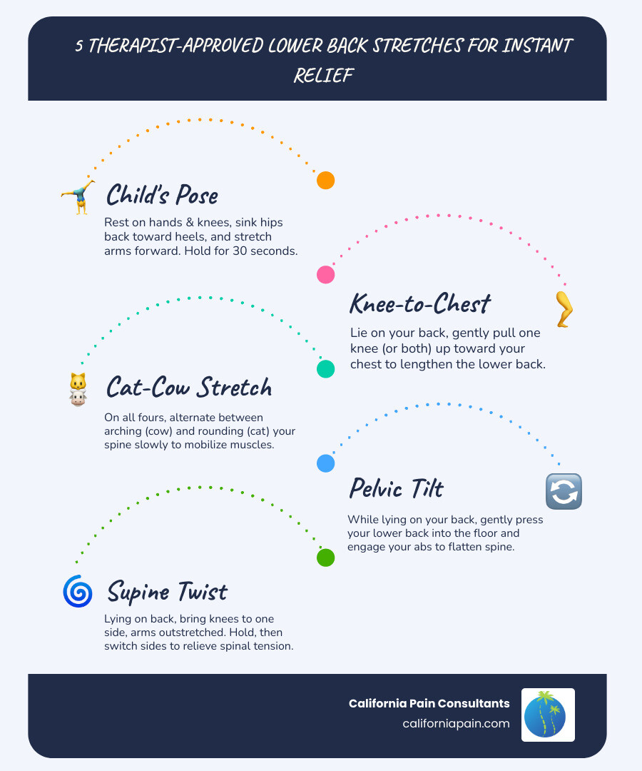 How to Stretch Lower Back: 7 Powerful Moves for Instant Relief