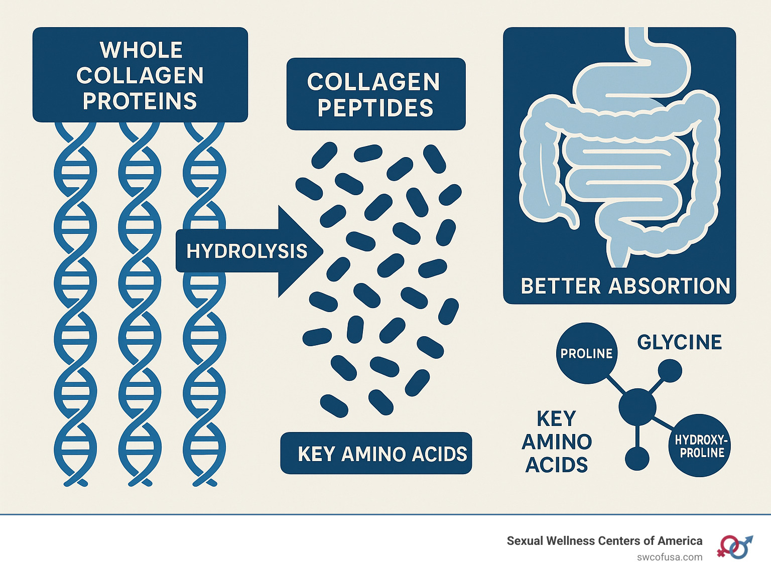 Collagen Peptide Supplement Benefits 2025: Unlock Glow!