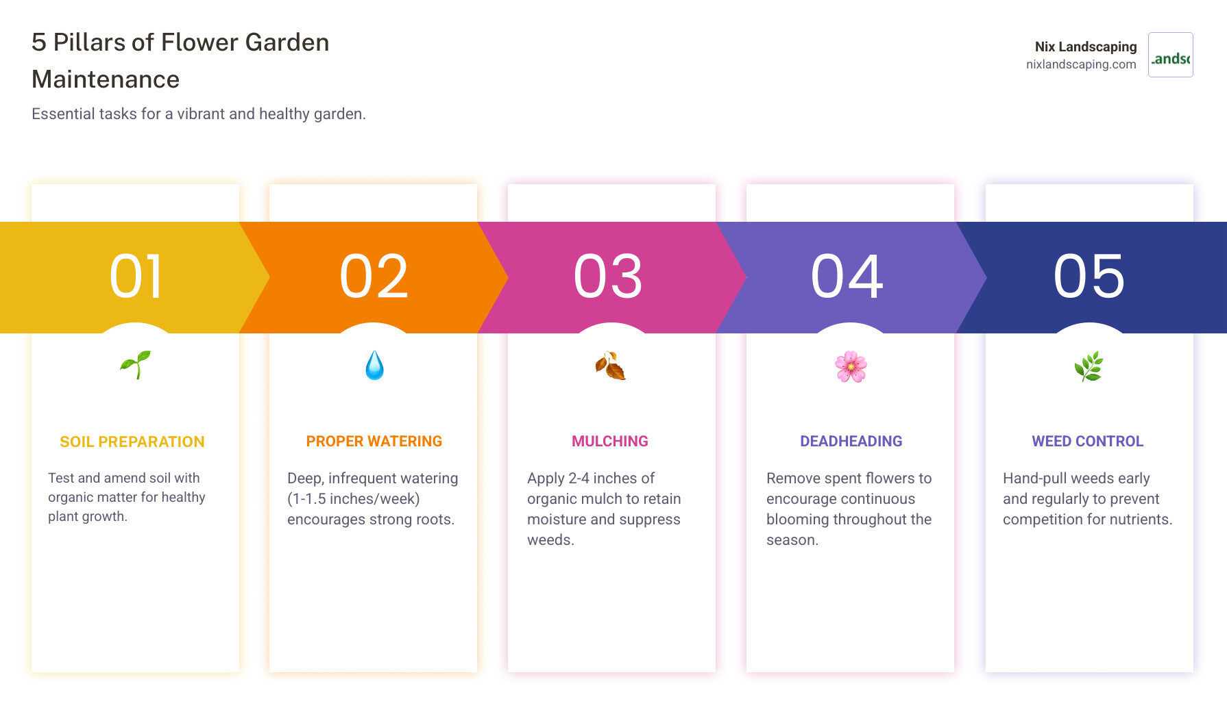 Flower garden maintenance tips: 5 Top Tips