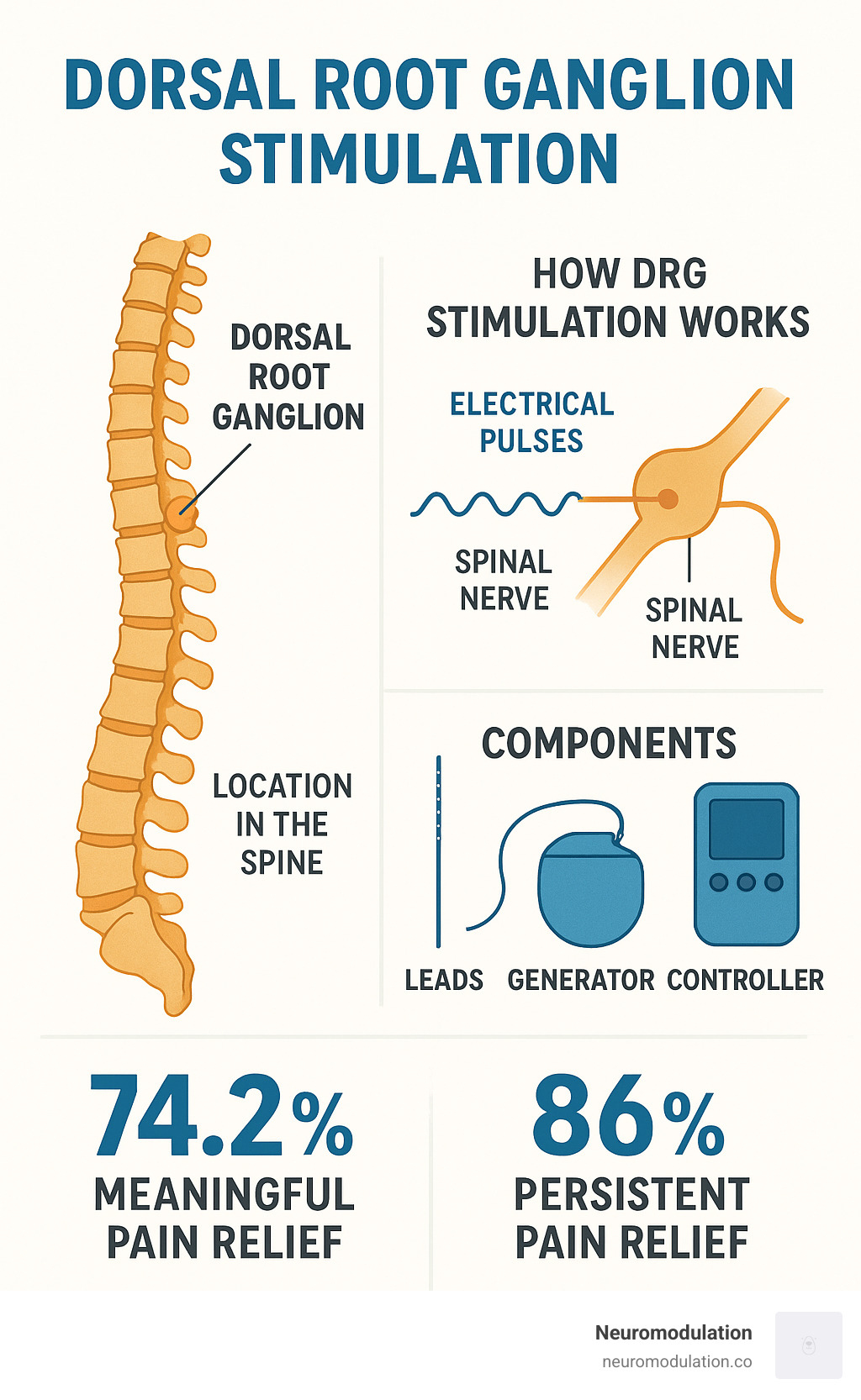 Alluring Dorsal Root Ganglion Stimulation (drg): #1 Power Relief