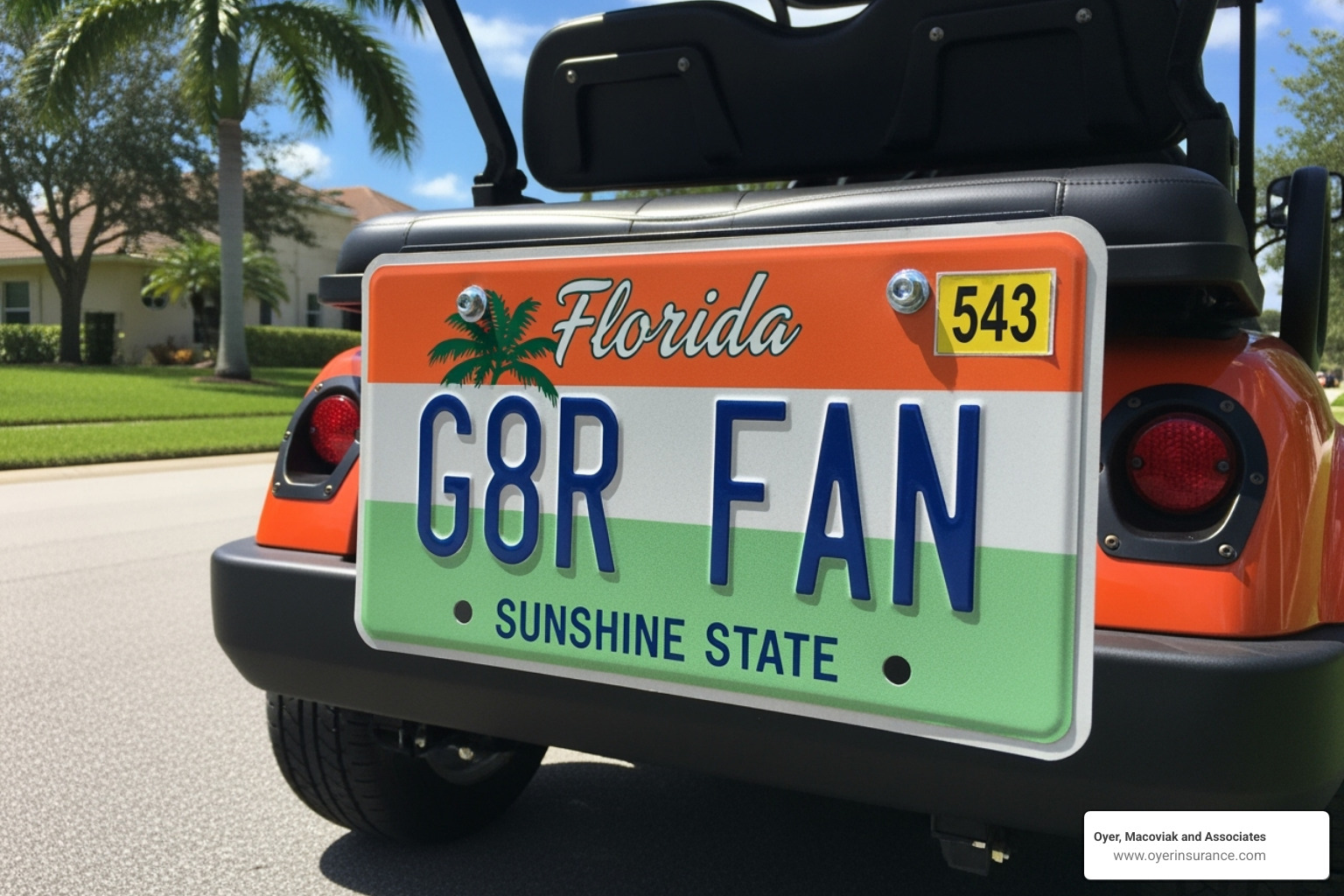 Florida low speed vehicle: Smart 2025 Rules