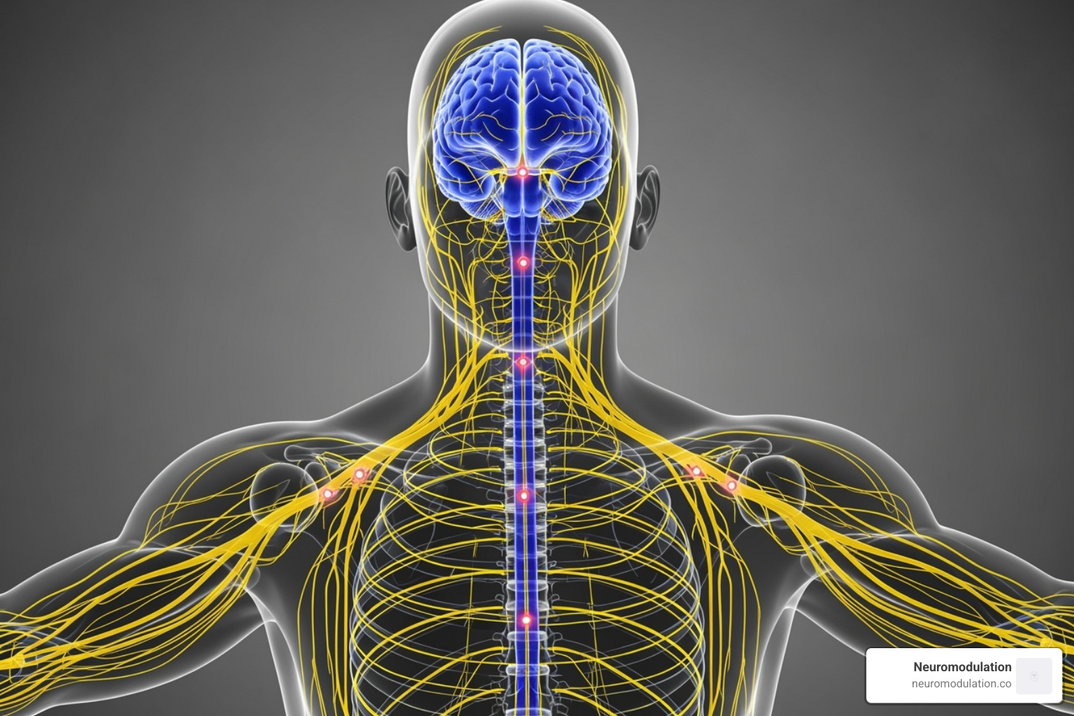 Neuromodulation Devices: 2025 Ultimate Hope
