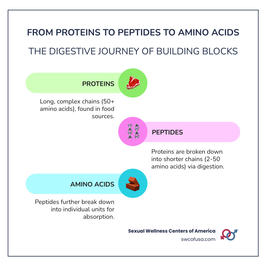 What are peptide supplements 101: Big Promises