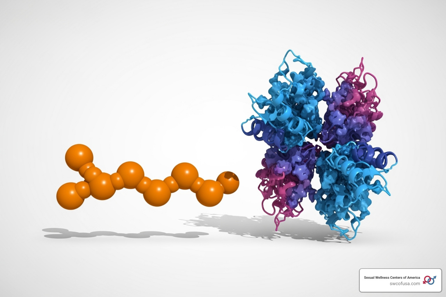 What are peptide supplements 101: Big Promises