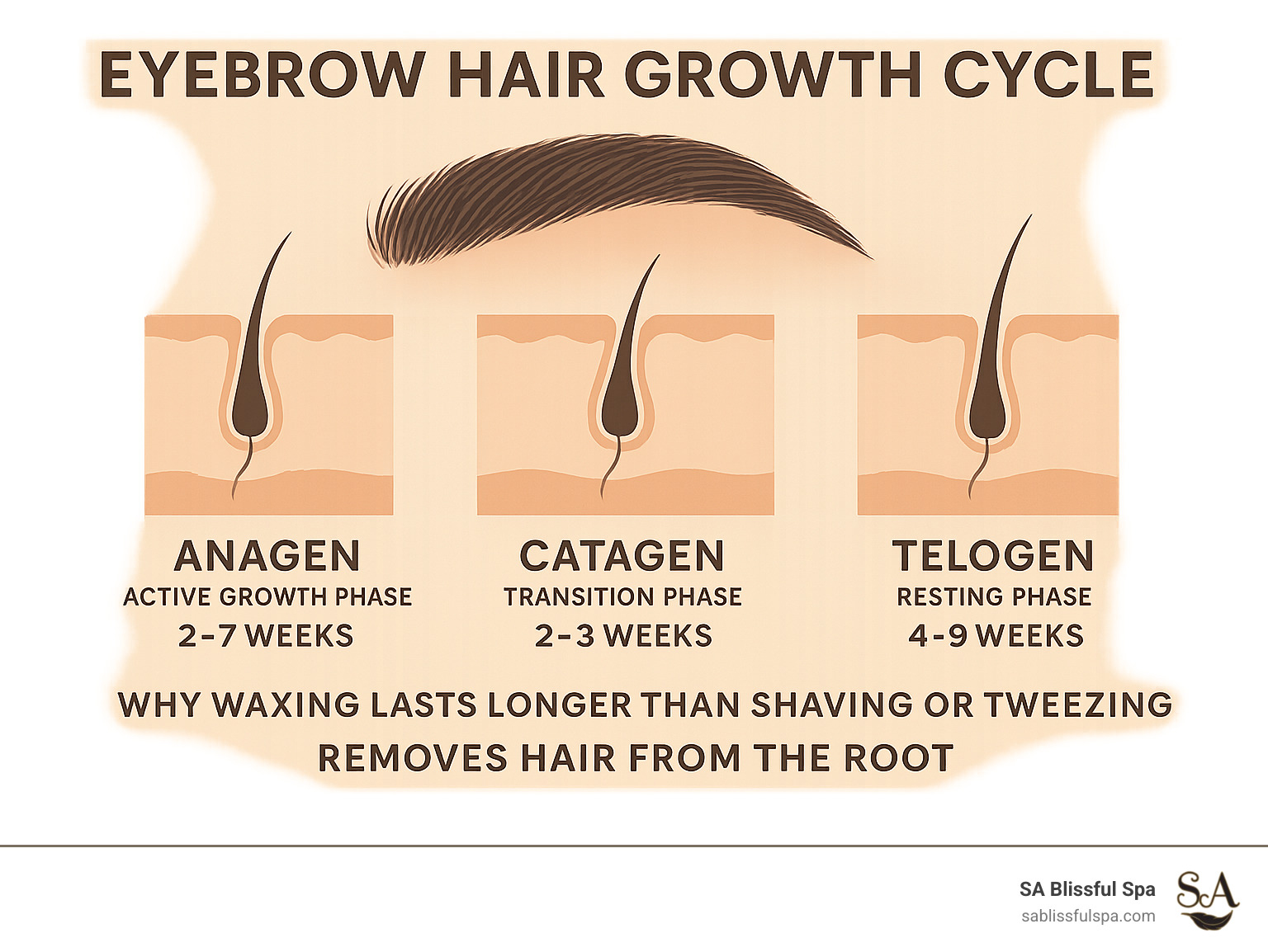 How to wax your eyebrows: The #1 Perfect Guide