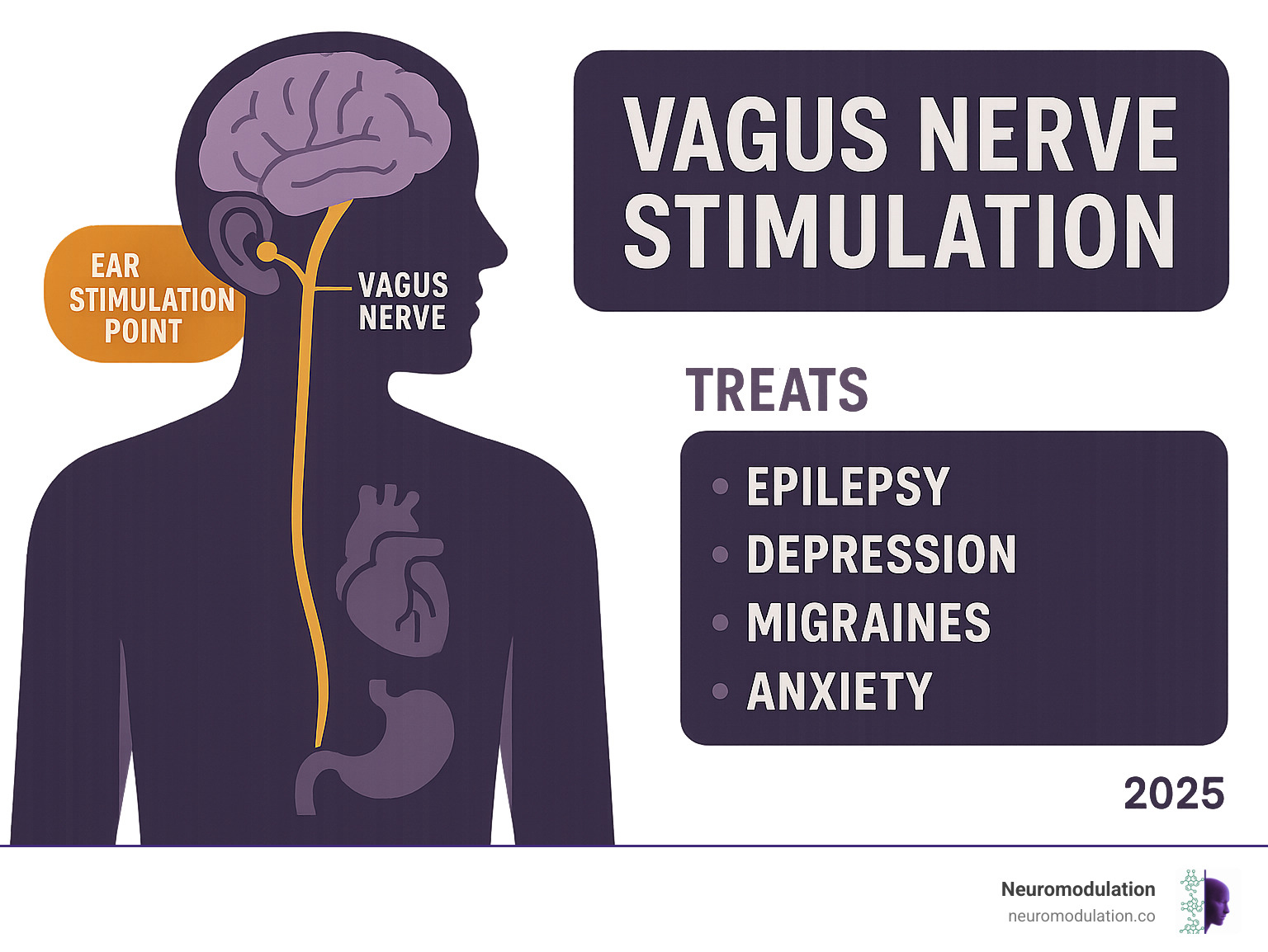 tVNS Device: Choose Right 2025 Guide