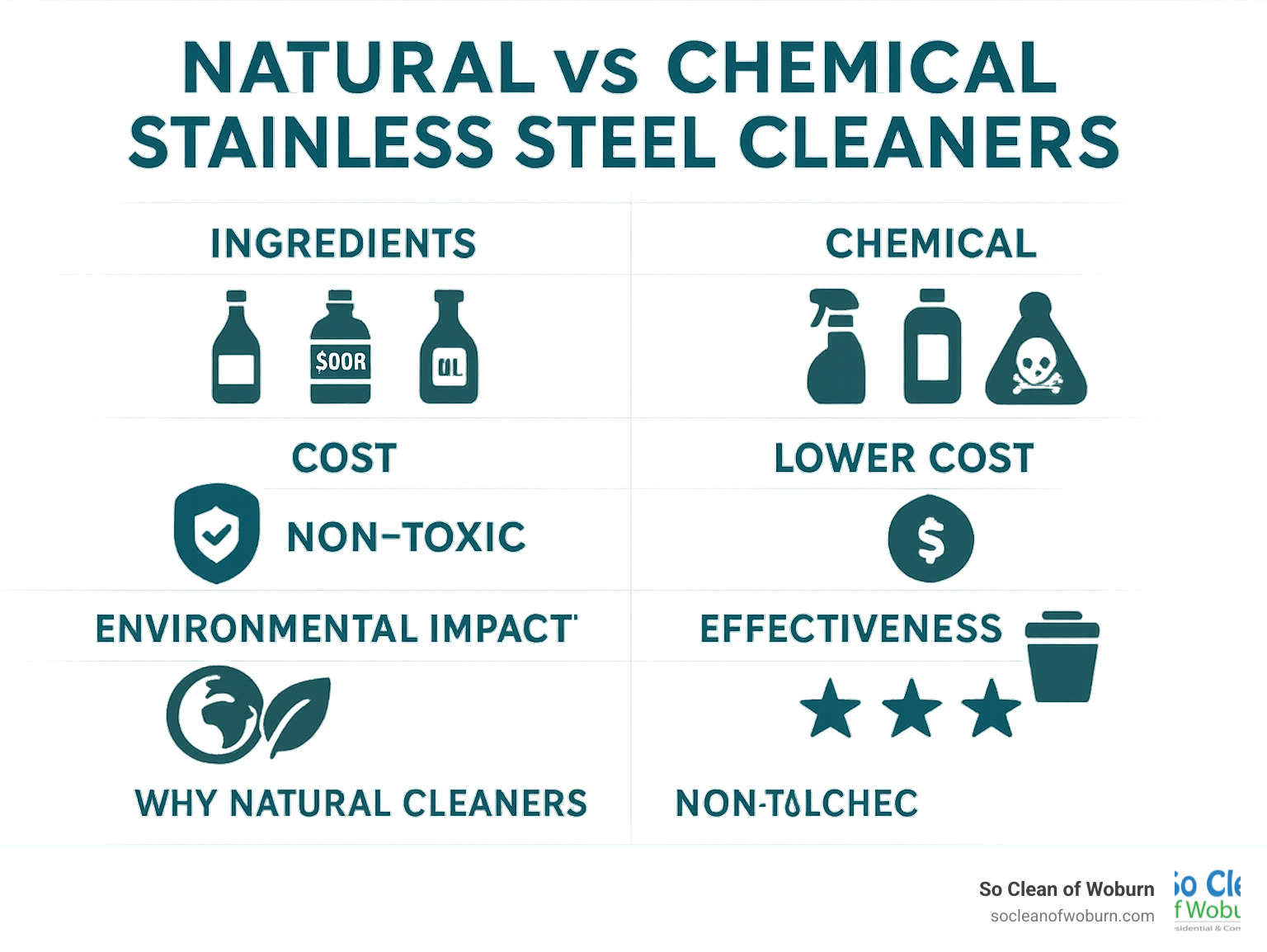 Natural Stainless Cleaner: Save Big in 2025!